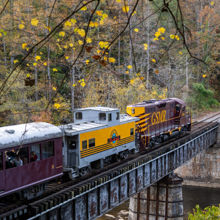 Great Smoky Mountains Railroad – Family Train Ride